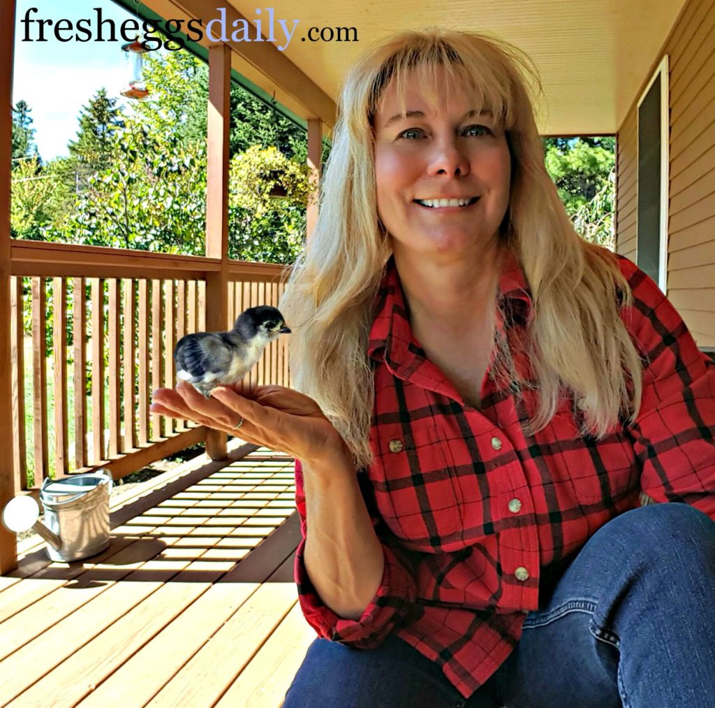 8: Lisa Steele on Fresh Eggs Daily - The Urban Farm
