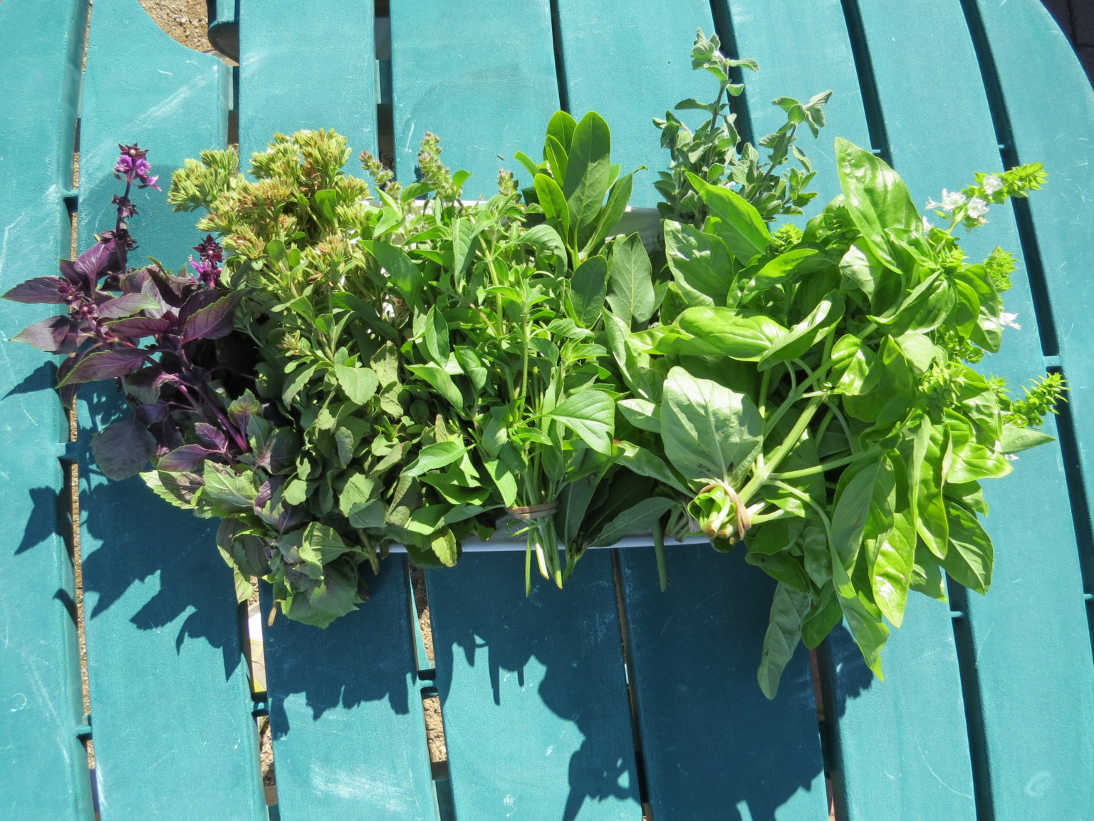 130: Catherine Crowley is “The Herb Lady” - The Urban Farm