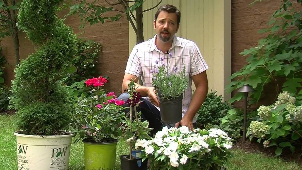 142: Craig Jenkins-Sutton on Tree Selection and Planting - The Urban Farm