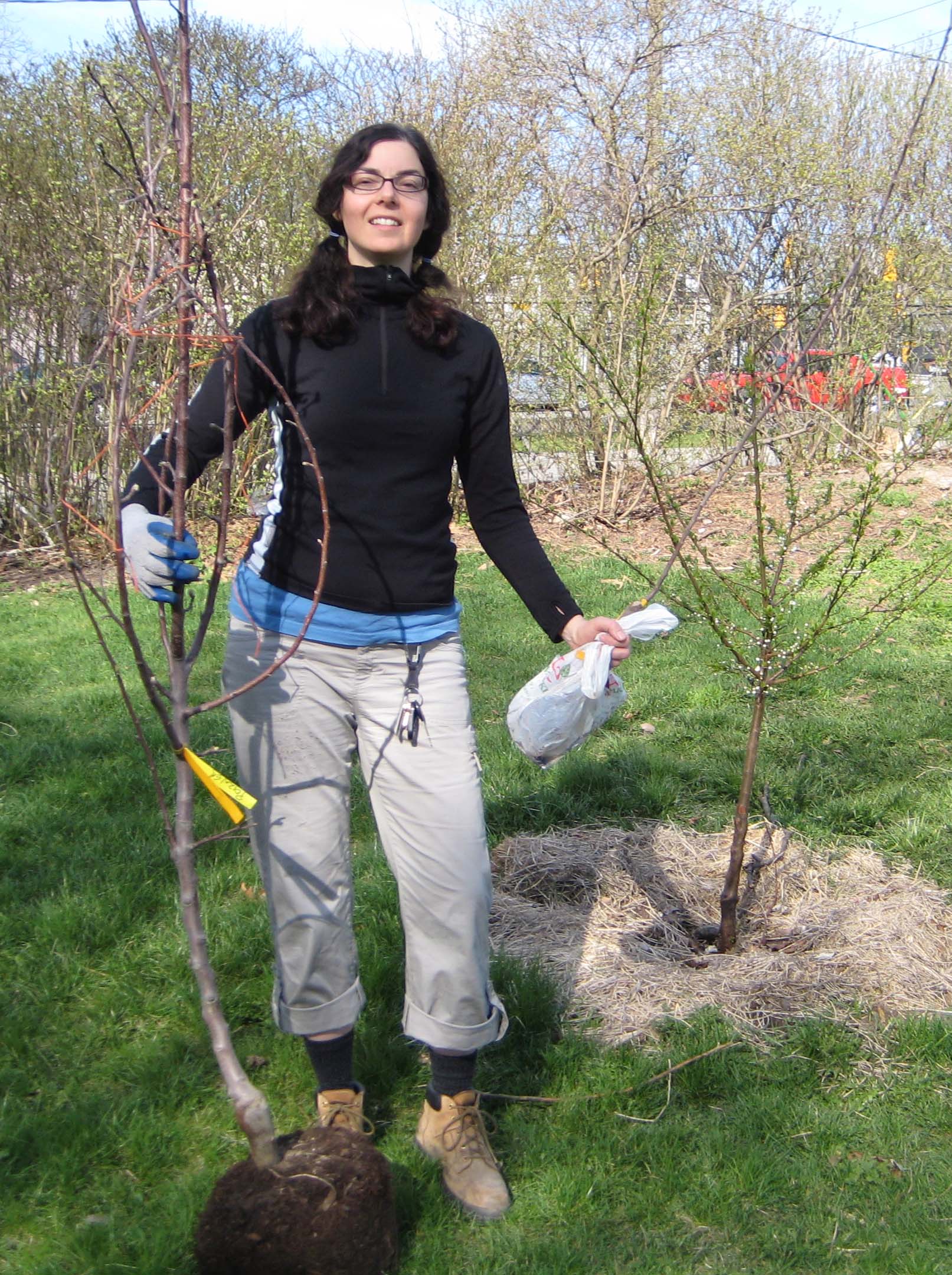 166: Susan Poizner on Orchard People - The Urban Farm