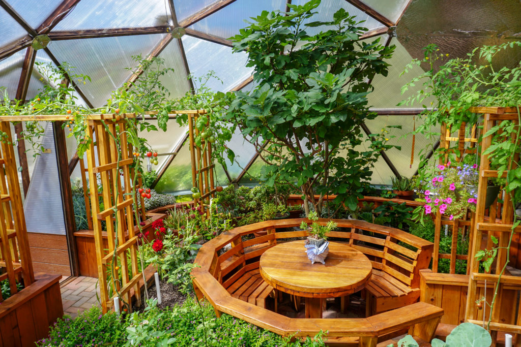 674: Liz and Lem Tingley on Geodesic Greenhouses of Growing Spaces ...